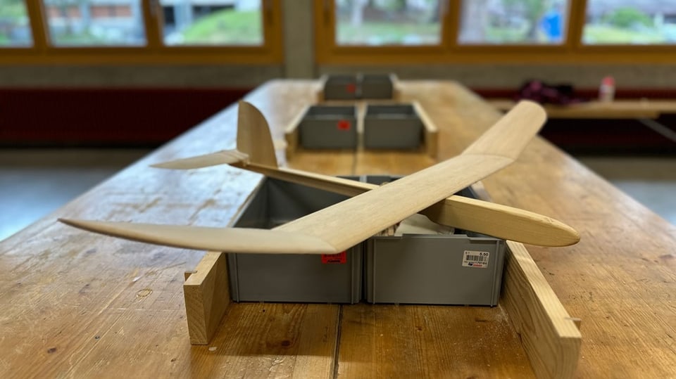 S-chanf - Cun «Pro Aero» l’emprim pass en il cockpit - Novitads - RTR