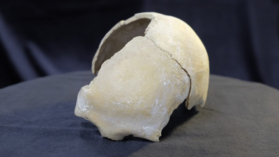 Scuverta spectaculara - Ina chavazza chattada a Dardin è passa 3'500 ...