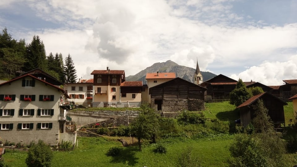 Ferrera/Schmitten - Tavau sclerescha detagls davart midada dal lieu da ...