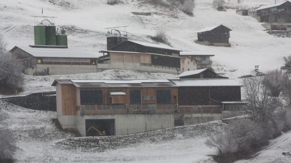 SACG in der Krise: Hoffnung auf zukünftige Bundeshilfen - Novitads - RTR