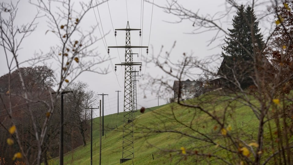 20 francs dapli pro chasada - Quint per electricitad vegnia a crescher ...