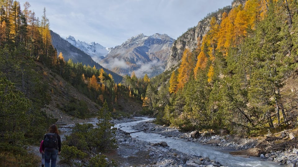 Nationalpark in Graubünden und weitere Naturpärke - Decodar nossa ...