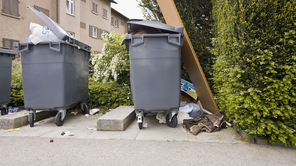 Memia bler victualias - Uschè bler rument bittain nus en ils satgs da ...