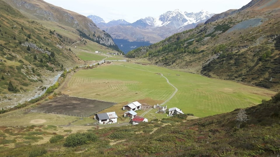 Chamona al Parc Ela Trek - Daners per adattar chamona sin l’Alp Faller ...