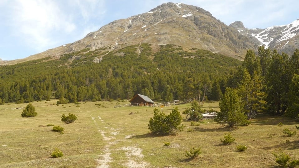 Zernez - Far urden cun ingiustias davart chamonas communalas - Novitads ...