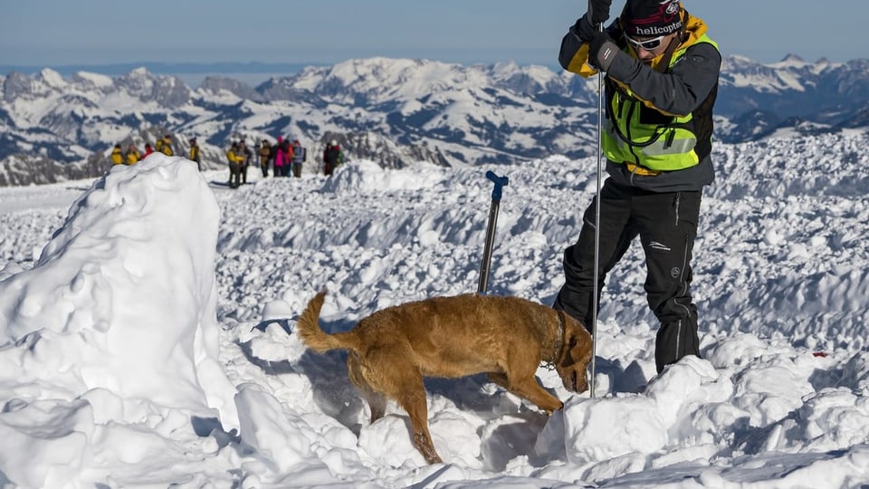 Institut da lavinas a Tavau - Valitar privels da lavinas cun l ...