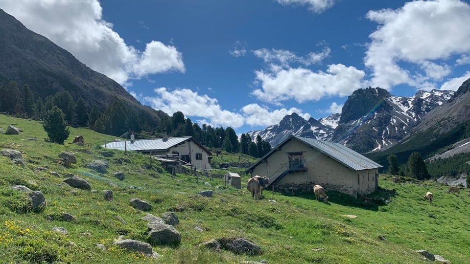 Nova chamona CAS - Cas da l'Alp Sprella vegn davant Tribunal federal ...