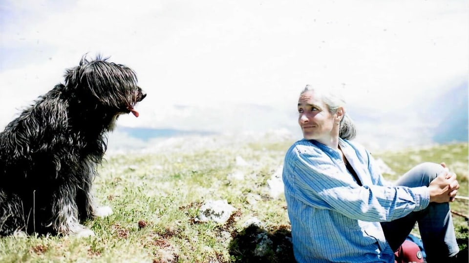 Etica ed animals - Nus essan be visitaders - Cultura - RTR