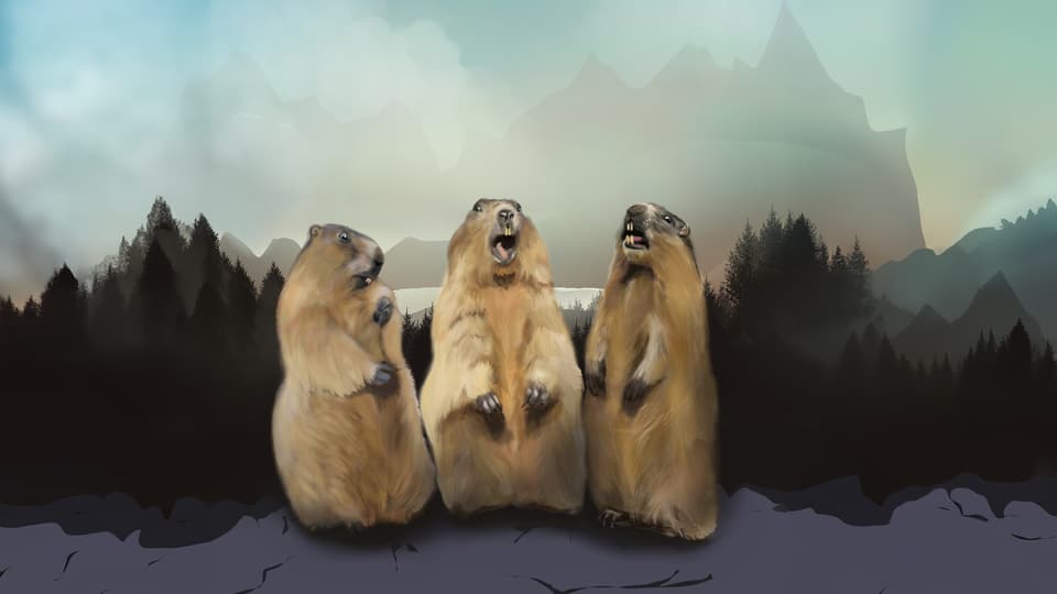 La rizza - Audioteca - RTR